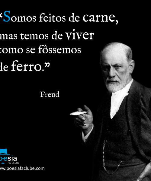 Freud meme- Somos feitos de Carne | Poesiafaclube.com